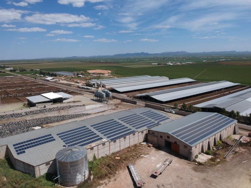 Ecosol - Paneles solares en León, Gto.